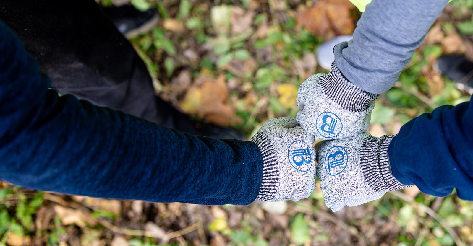 Personal & Commercial, Mortgage, Wealth Management | Busey Bank